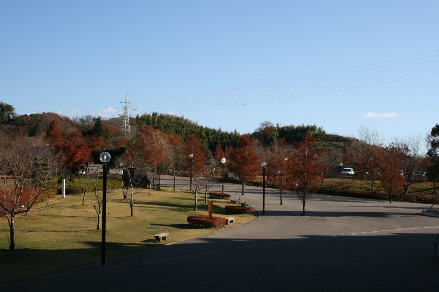 21世紀の森公園花の谷「バラと草花の花壇づくり」参加者募集 – いわき市公園緑地観光公社